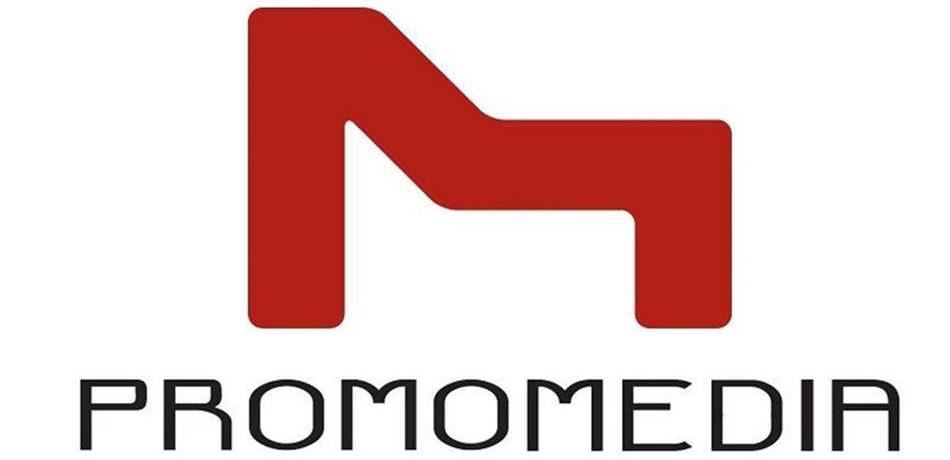 اختیار PromoMedia ممثّلاً إعلانياً حصرياً لـTikTok في العراق | النهار