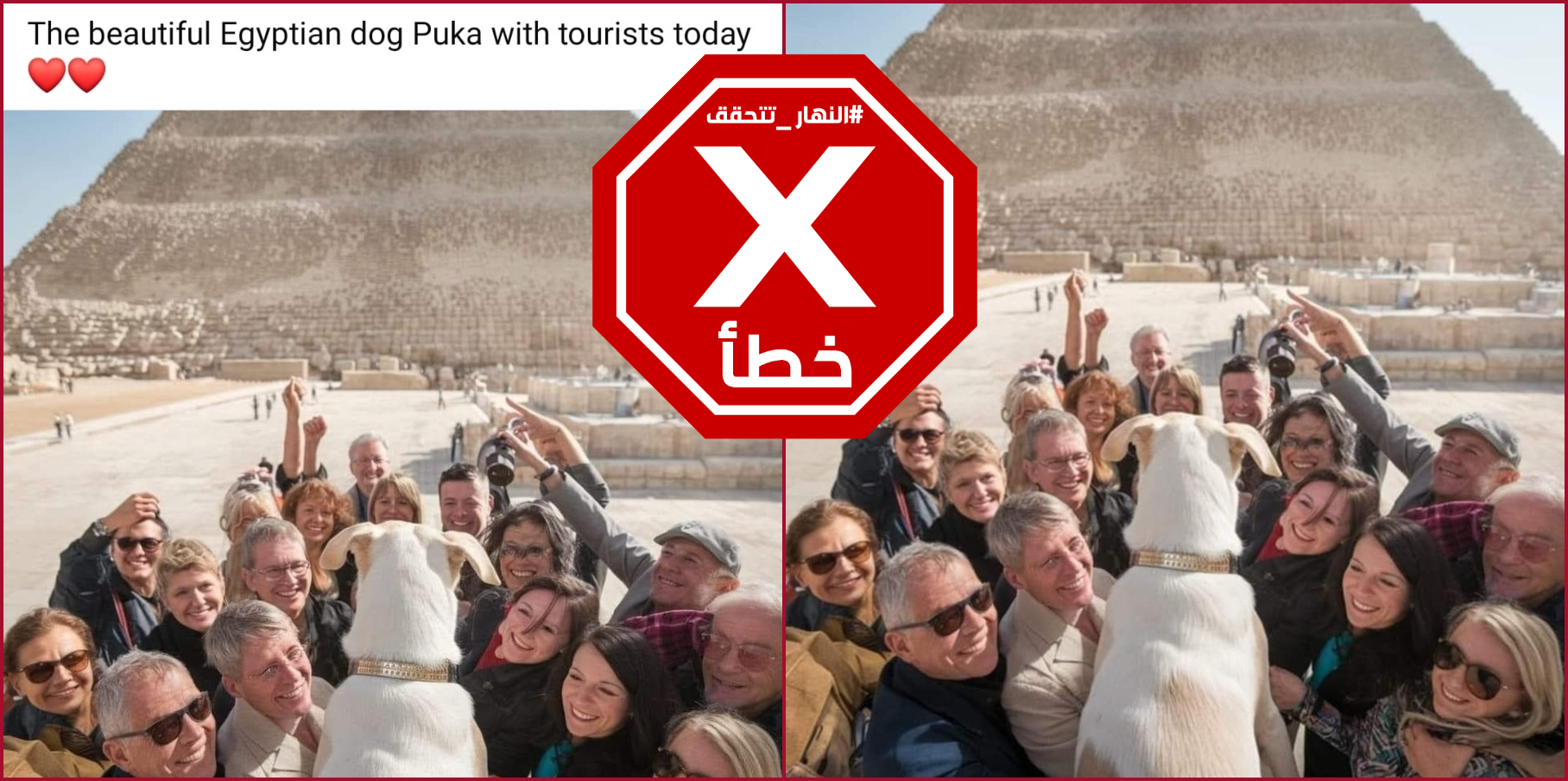 هذه الصورة لا علاقة لها بكلب الأهرامات بوكا FactCheck# | النهار